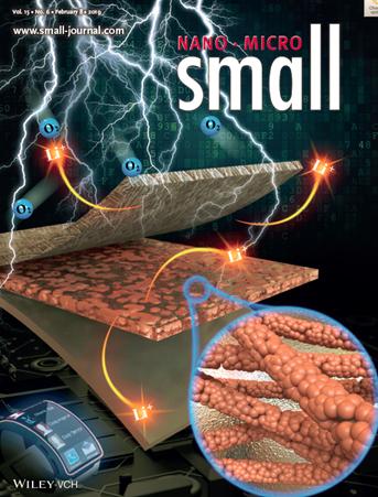 我院在《Advanced Materials》 《Nano Energy》及《Small》等国际材料及纳米能源领域顶级期刊上发表系列论文-成都理工大学材料与化学化工学院